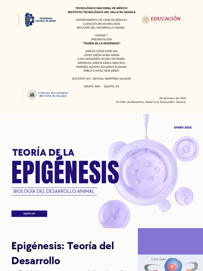 TeoríaEpigenesis_EQ3_B4A | PDF | Diferenciación celular | Potencia celular
