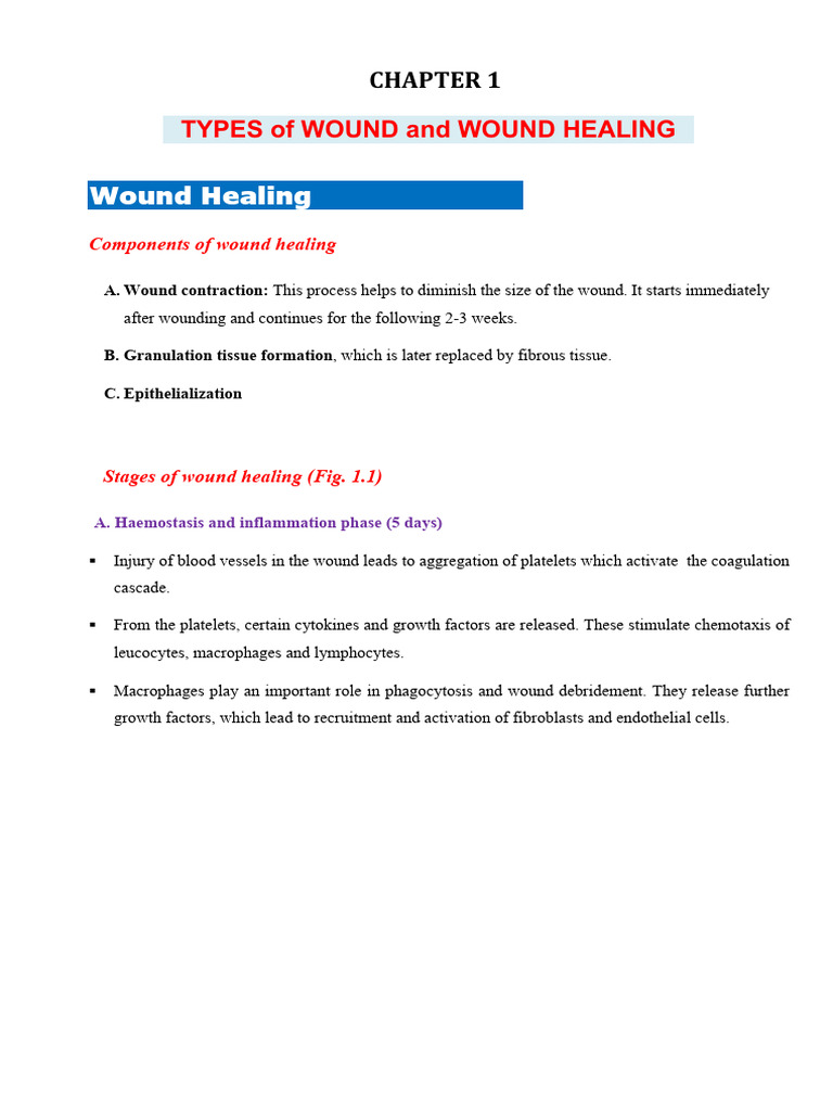 Wound Types and Healing Processes Explained | PDF | Wound Healing | Scar
