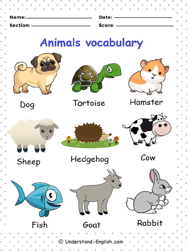 Animals Vocabulary | PDF