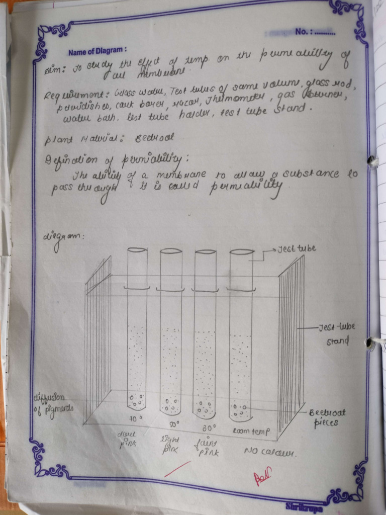 Temp. Cell Permeability | PDF