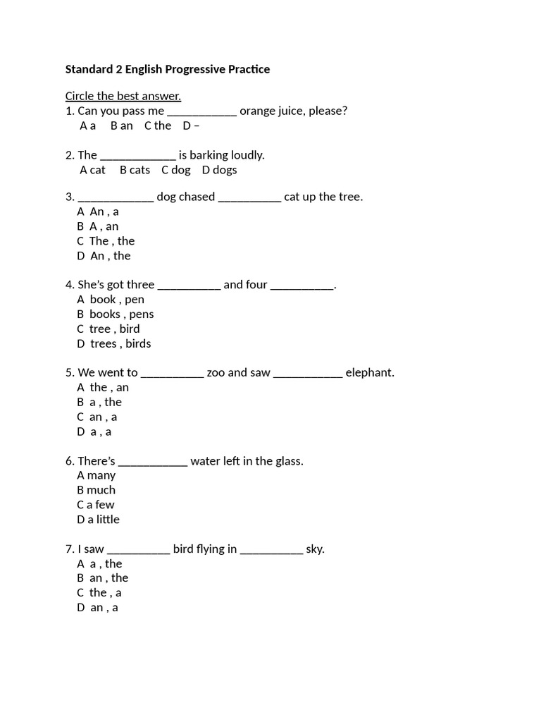 English Grammar Practice: Articles & Plurals | PDF