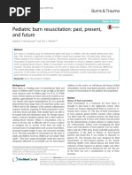 Understanding the Parkland Formula | PDF | Major Trauma | Burn