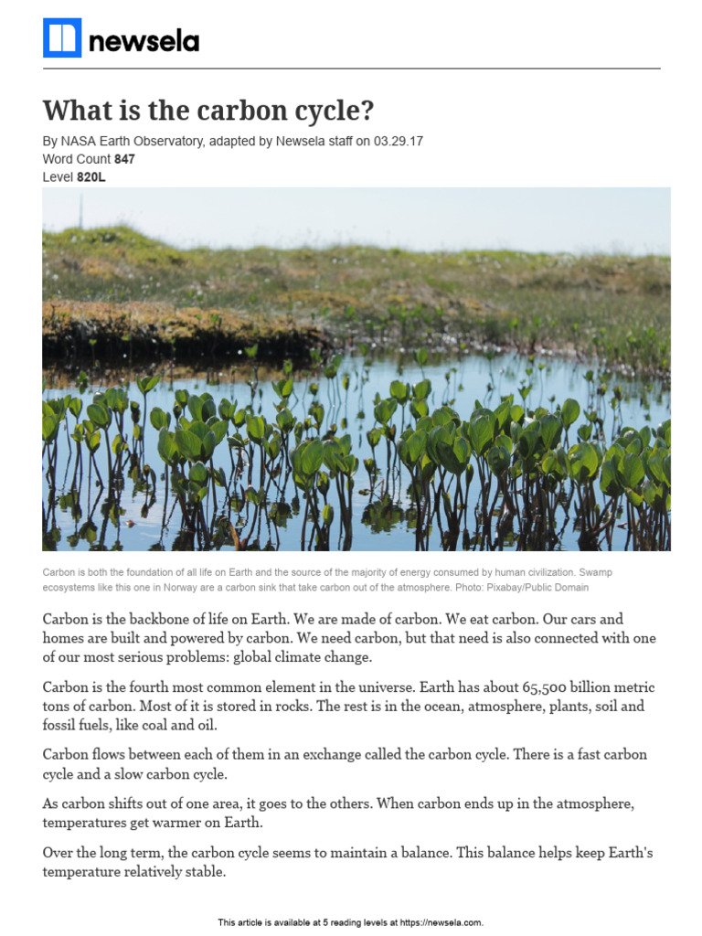 Carbon Cycle: Atmosphere Excluded | PDF | Carbon Cycle | Atmosphere Of ...