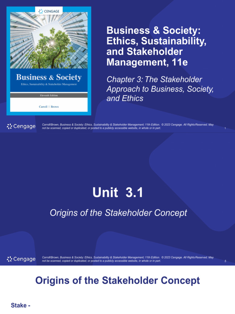 Carroll_11e_CH03_PPT_CHAPTER 3 | PDF | Entrepreneurship | Social Entrepreneurship