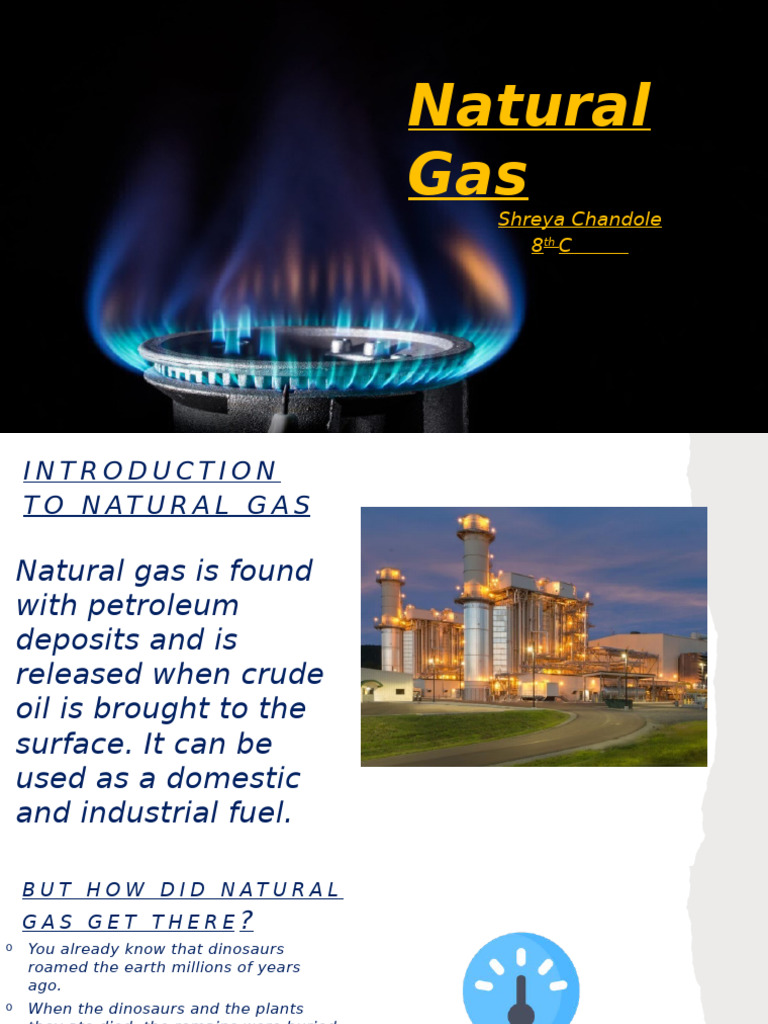 Introduction to Natural Gas Resources | PDF | Natural Gas | Petroleum