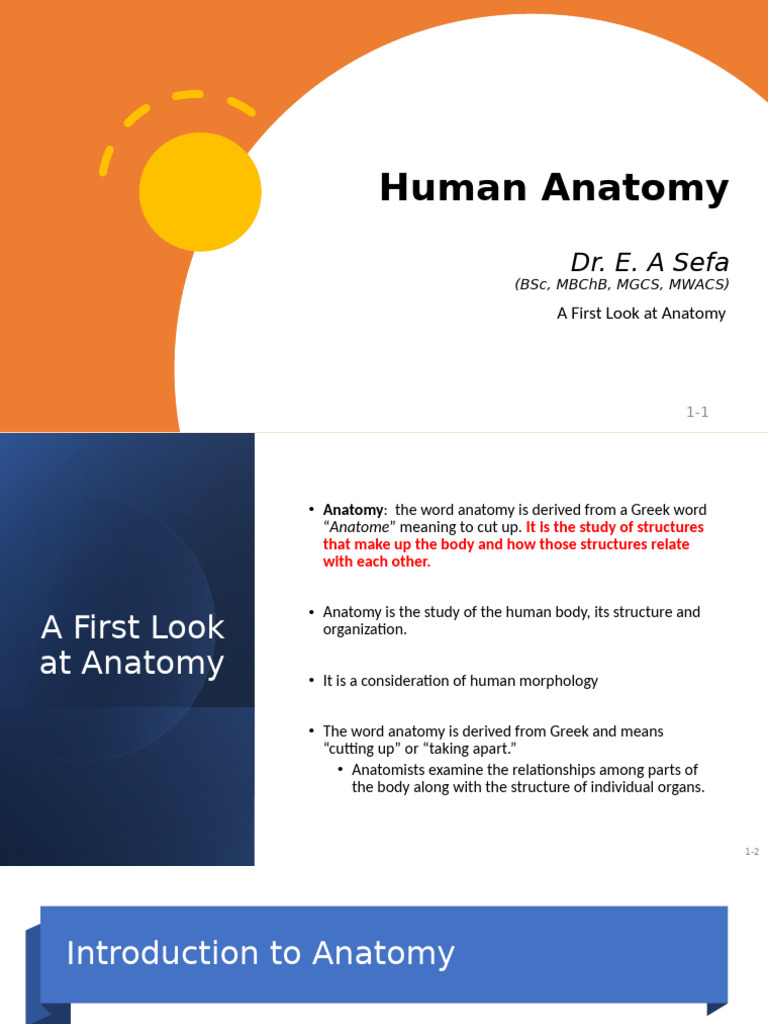 Introduction To Anatomy-1 | PDF | Anatomical Terms Of Motion ...