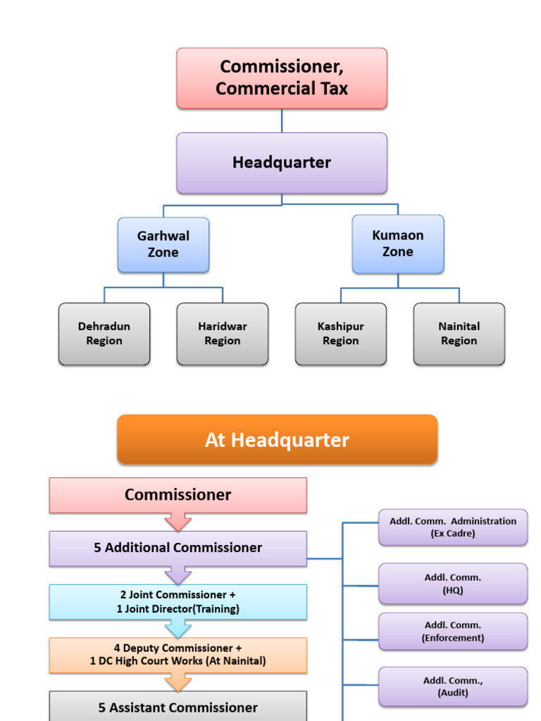 Organisation Setup Pdf