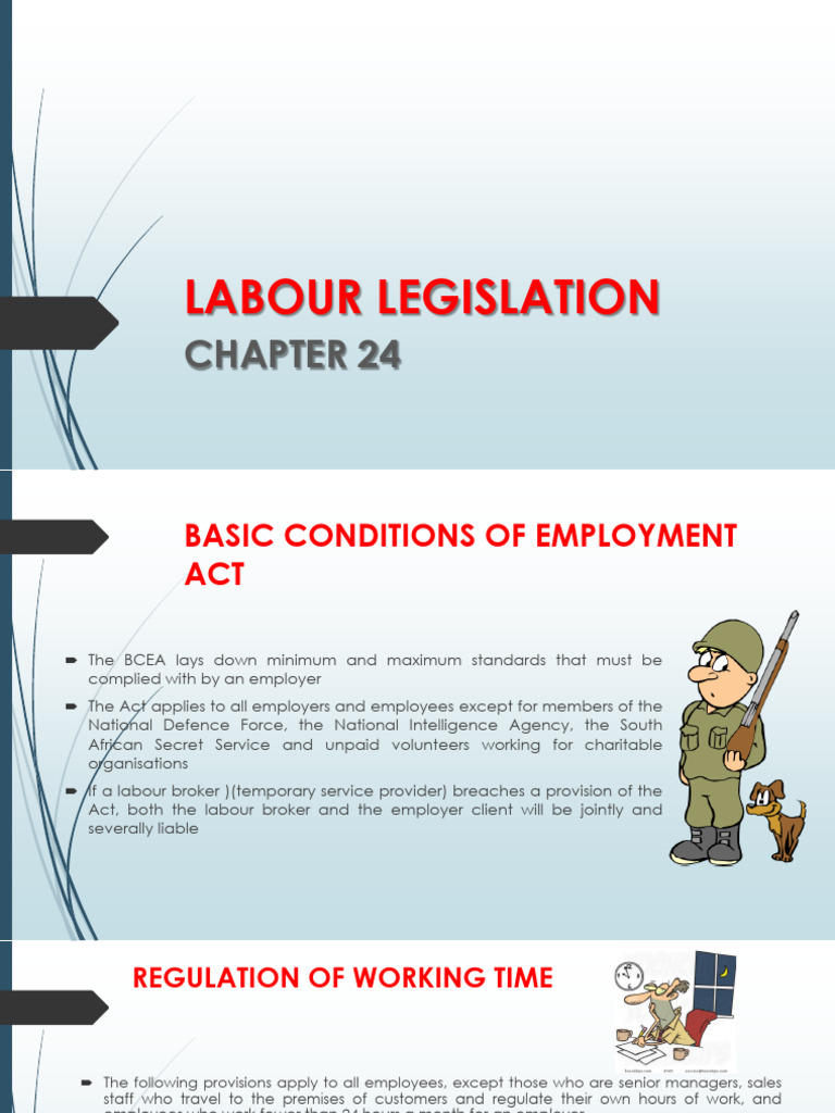 South Africa's Basic Employment Laws | PDF | Employment | Collective ...