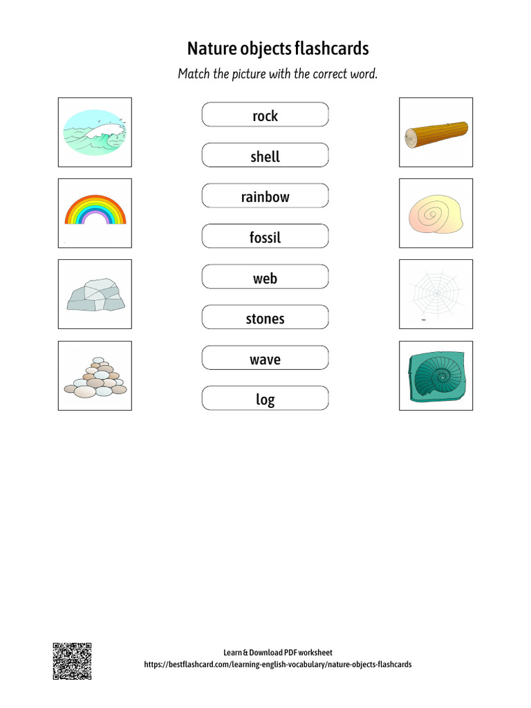 Homework Grade 3 Part 7 | PDF