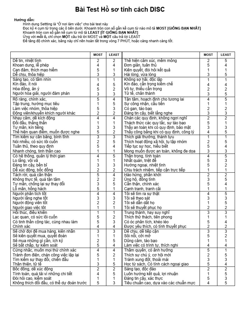 DISC Personality Assessment (24questions) - VN - Edited | PDF