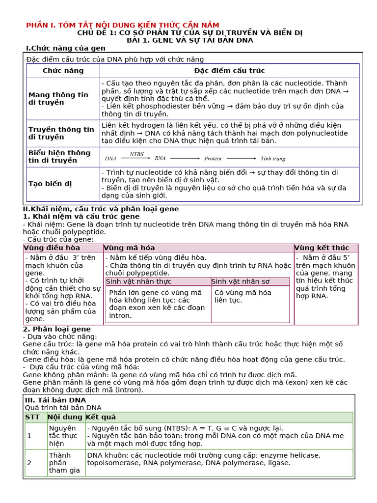 Đề Cương Ôn Tập Giữa Kỳ 1 - Sinh 12 - 2024-2025 | PDF