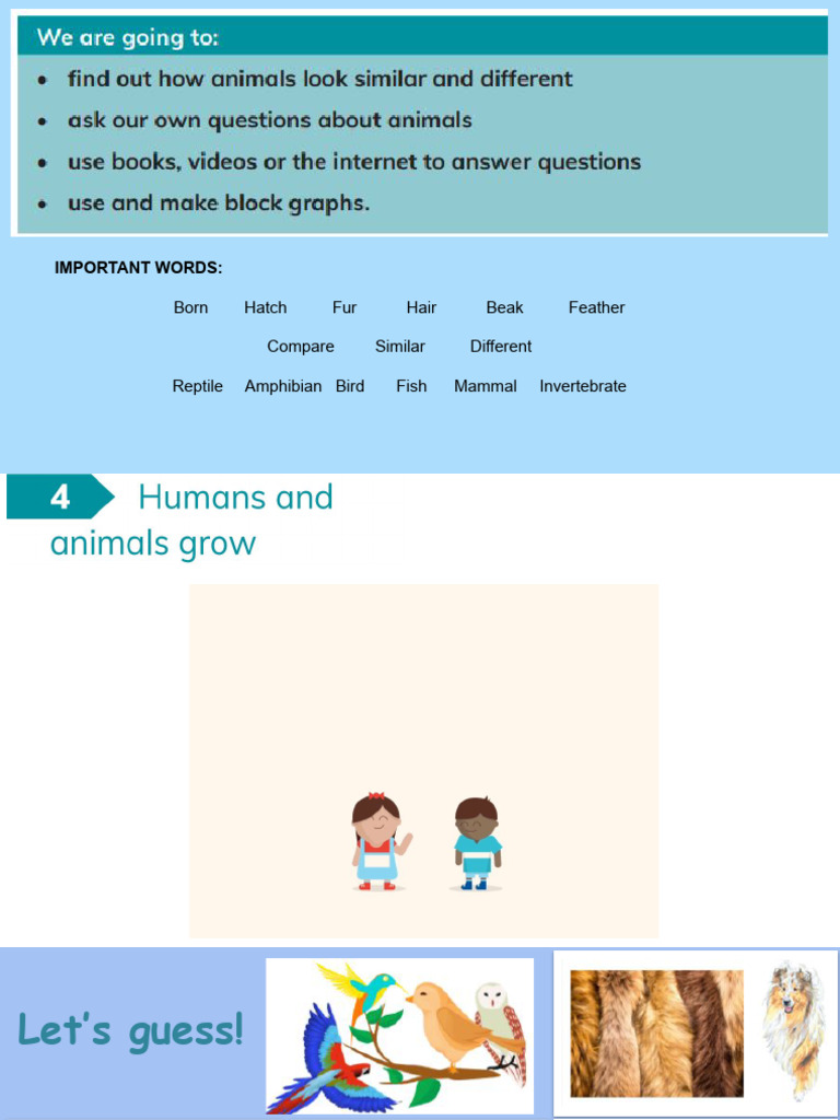 Animal Classification and Characteristics | PDF | Amphibian | Mammals