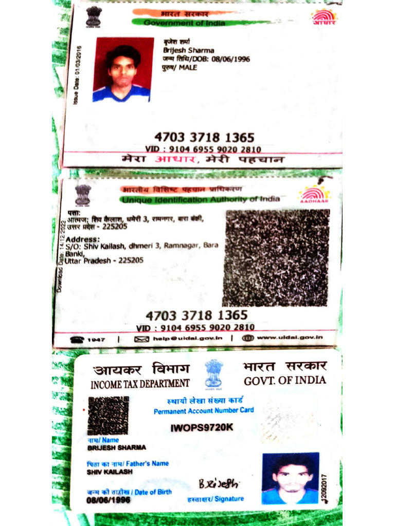 Document 210 | PDF