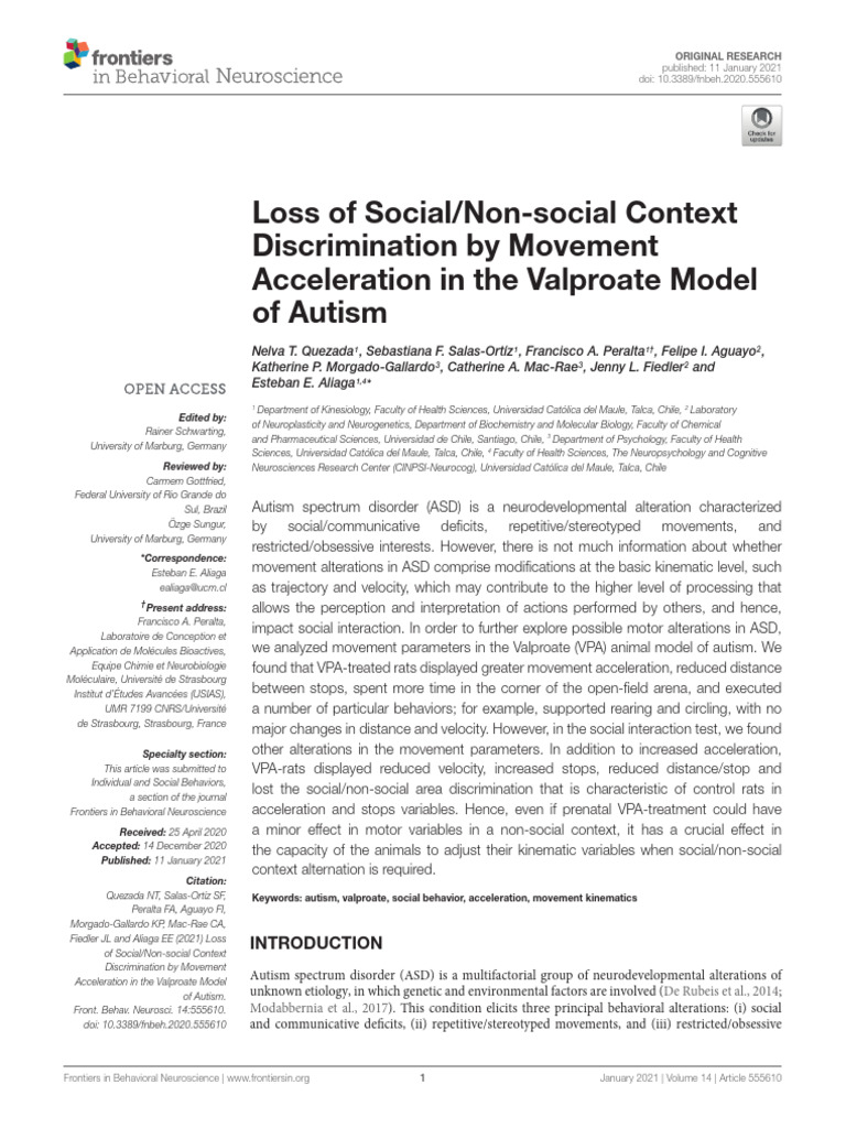 Paper Catherine Mac - Rae Erazo (Autismo y Neurociencias) | PDF ...