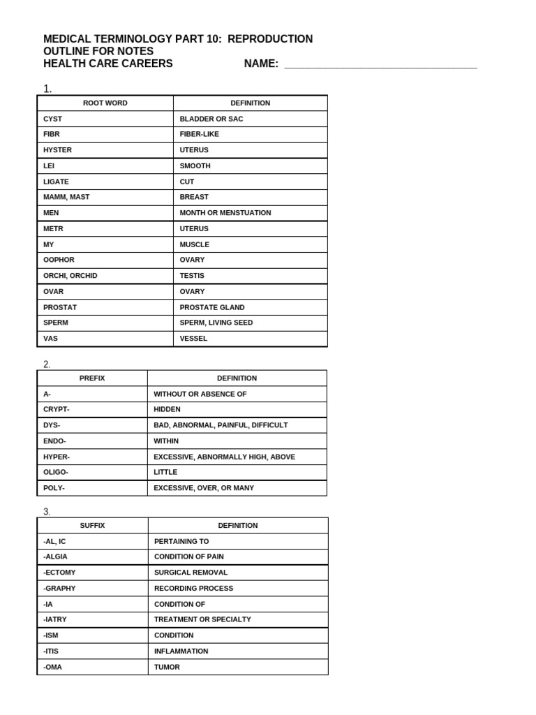 Reproductive Medical Terminology Guide | PDF | Vagina | Uterus