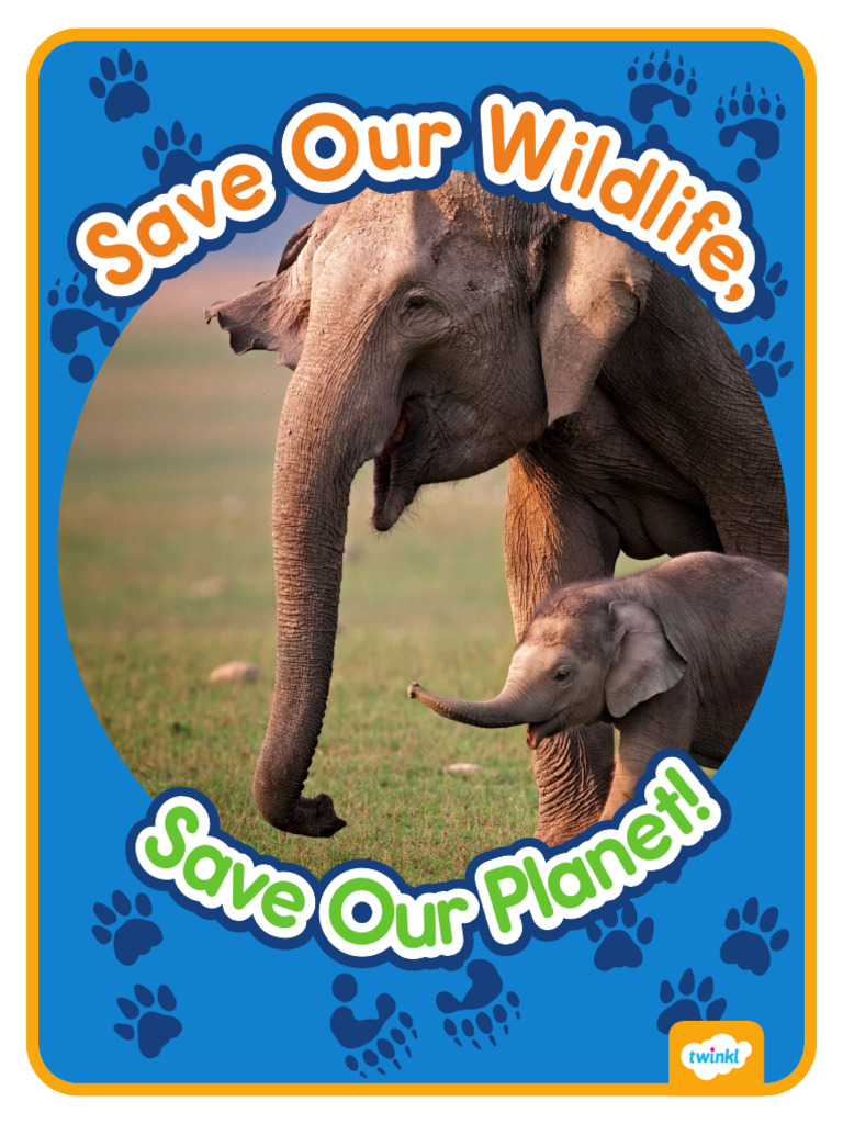 Endangered Animals Posters Us CM 1730828669 - Ver - 1 | PDF