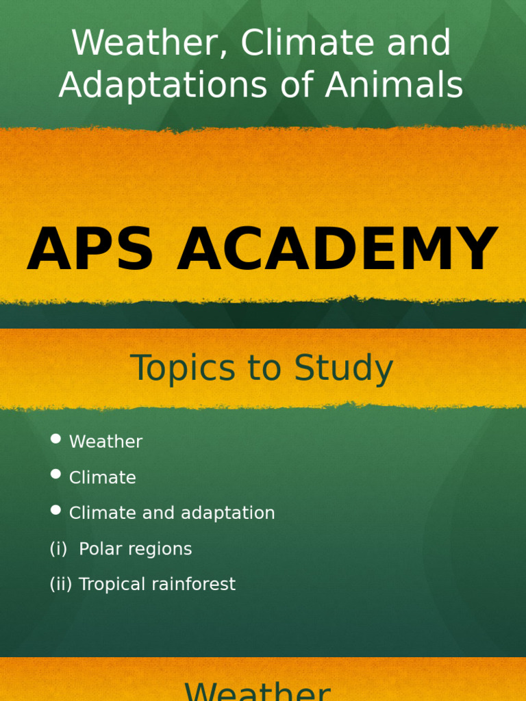 Weather and Animal Adaptations Class 7 | PDF | Weather | Precipitation