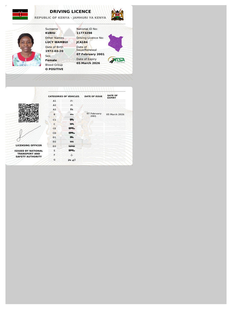 Driving Licence | PDF
