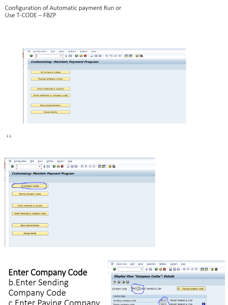 Automatic Payment Run Configuration | PDF