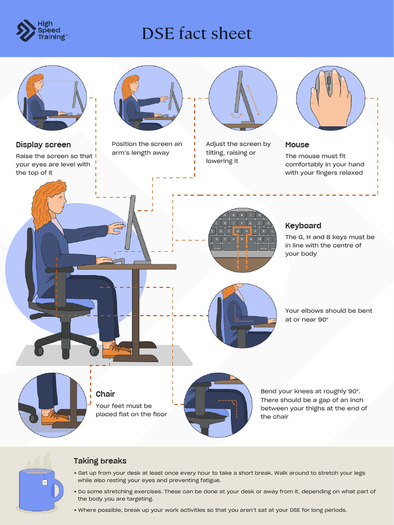 Ergonomic DSE Setup Guidelines | PDF