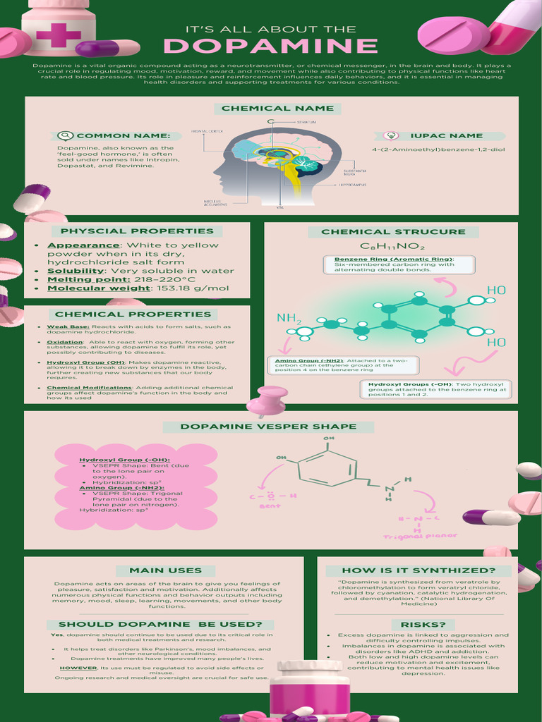 Dopamine: Properties, Uses, and Risks | PDF | Dopamine | Chemical ...