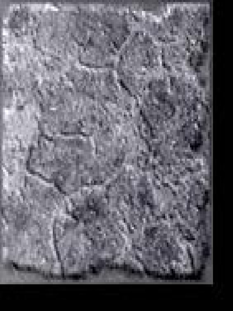 1x1 Dark Stone Corner | PDF