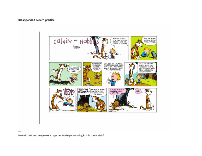 IB Lang and Lit Paper 1 Practice - Calvin and Hobbes | PDF