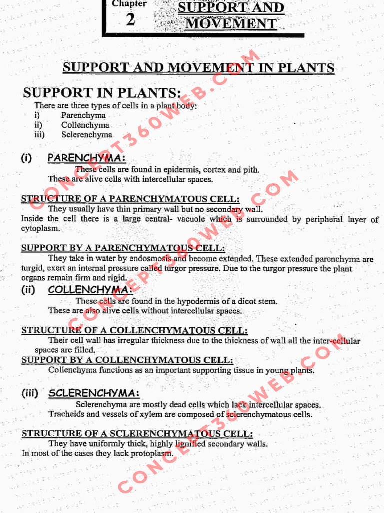 Biology Class 12 Chapter 2 | PDF