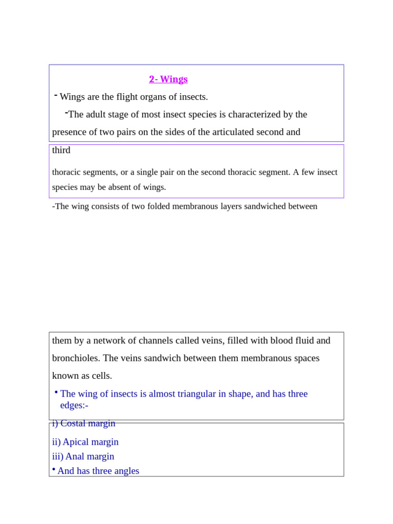 Insect Wing Structure and Function | PDF | Insects | Zoology