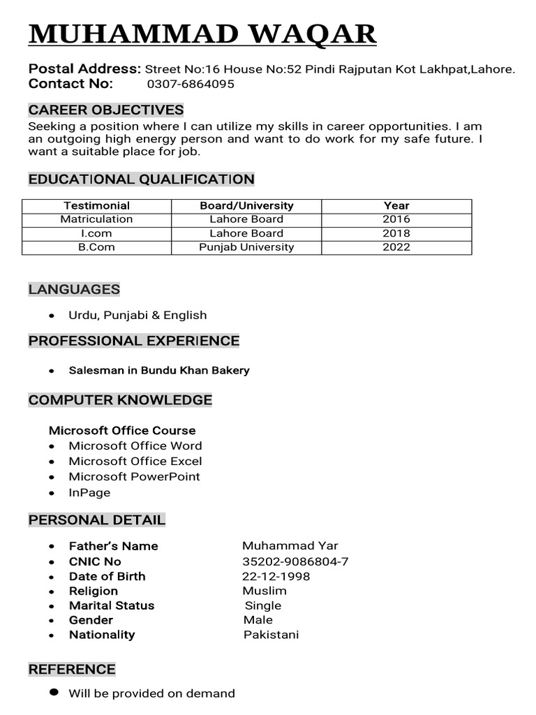 CV M.Waqar | PDF