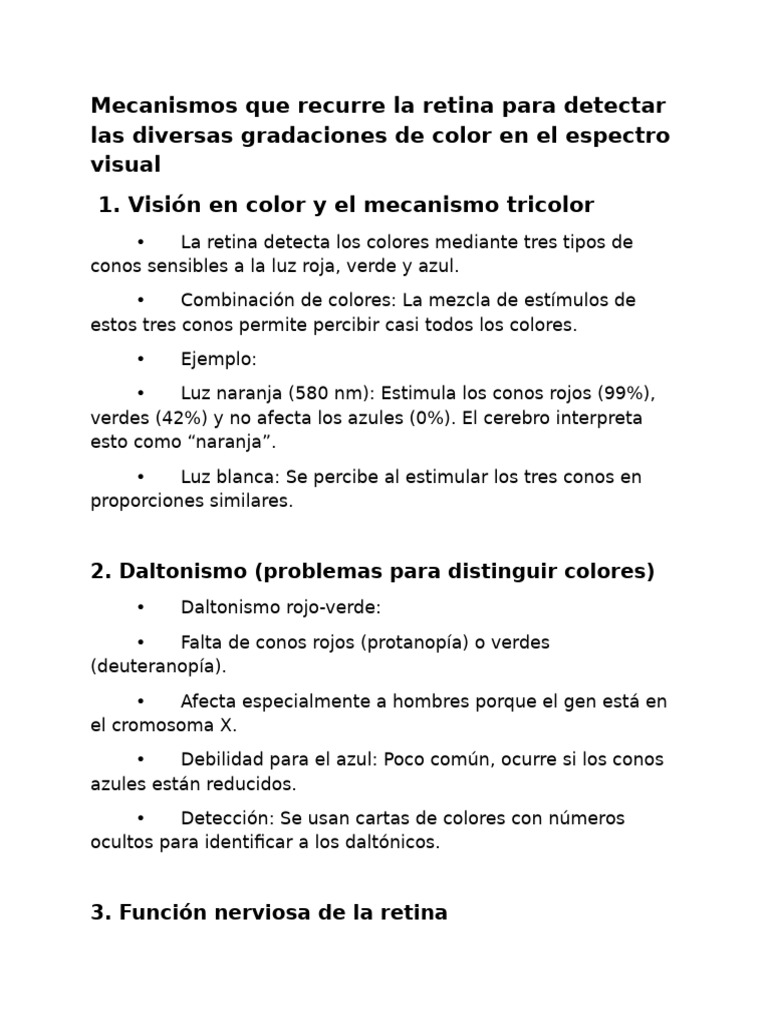 Mecanismos Que Recurre La Retina para Detectar Las Diversas Gradaciones ...