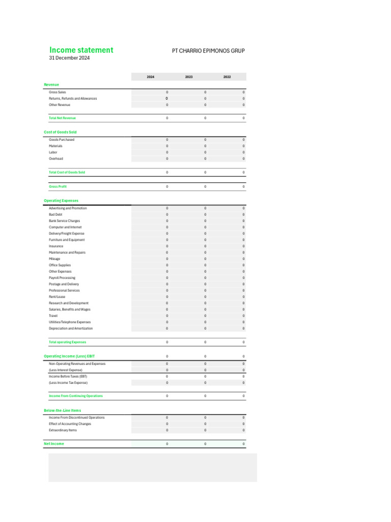 Income Statement Overview 2024 | PDF | Expense | Net Income