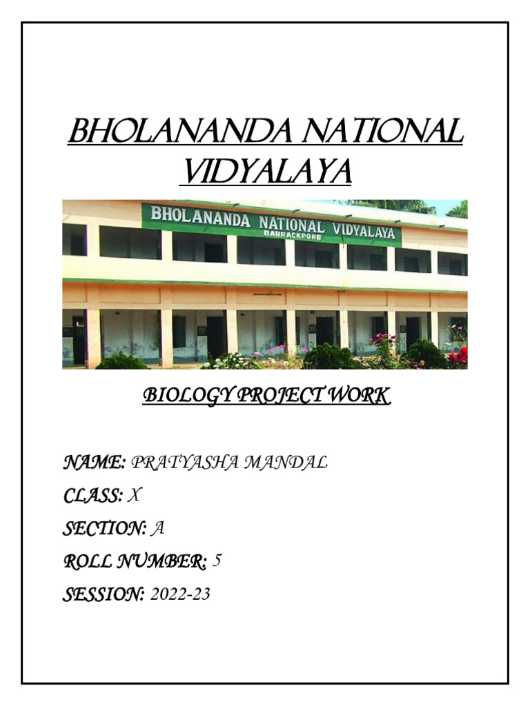 Bholananda National Vidyalaya BNV Pic | PDF