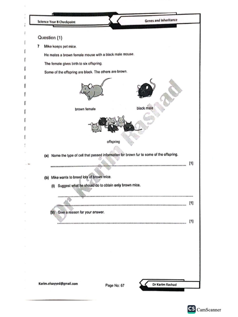 UNIT 7 CLASSIFIED | PDF