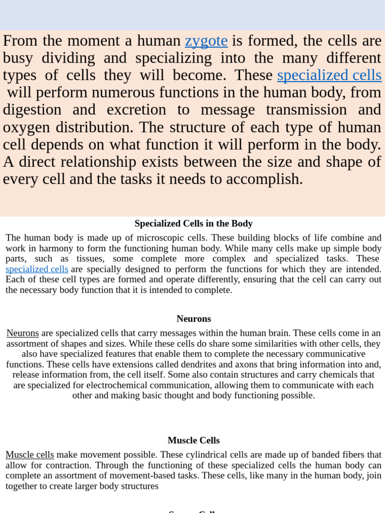 Cell Shape and Function Explained | PDF | Cell (Biology) | Axon