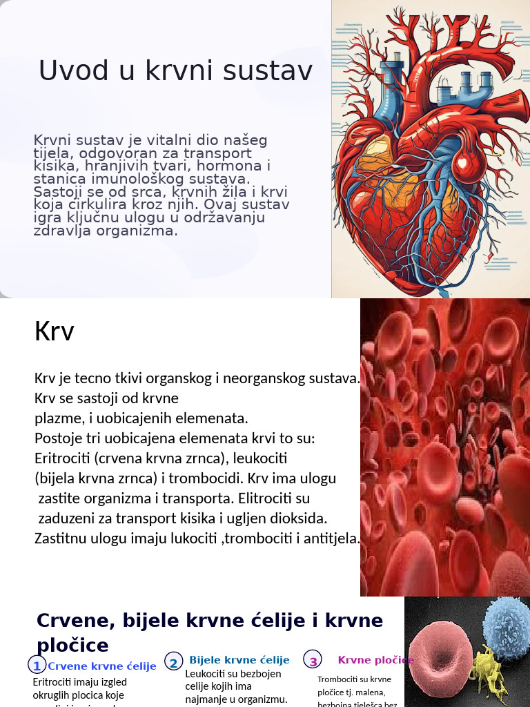 KRV I Srce Zerina Zunic | PDF