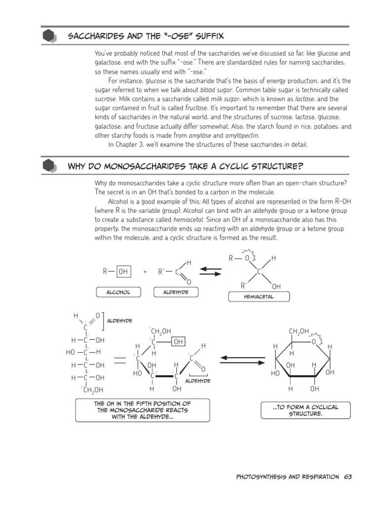 BIOCHEMISTRY BiOCHeMiSTRY (PDFDrive) - Pages-20 | PDF | Carbohydrates ...