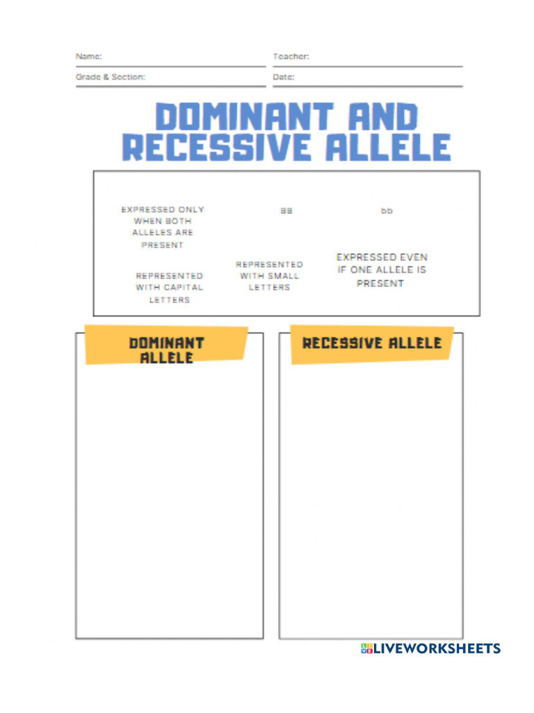 Dominant and Recessive Allele-Worksheet - 1845272 | PDF