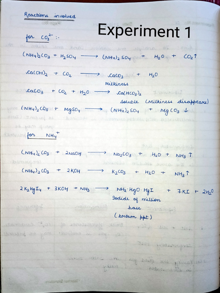 Reactions Experiment 1-10 t | PDF
