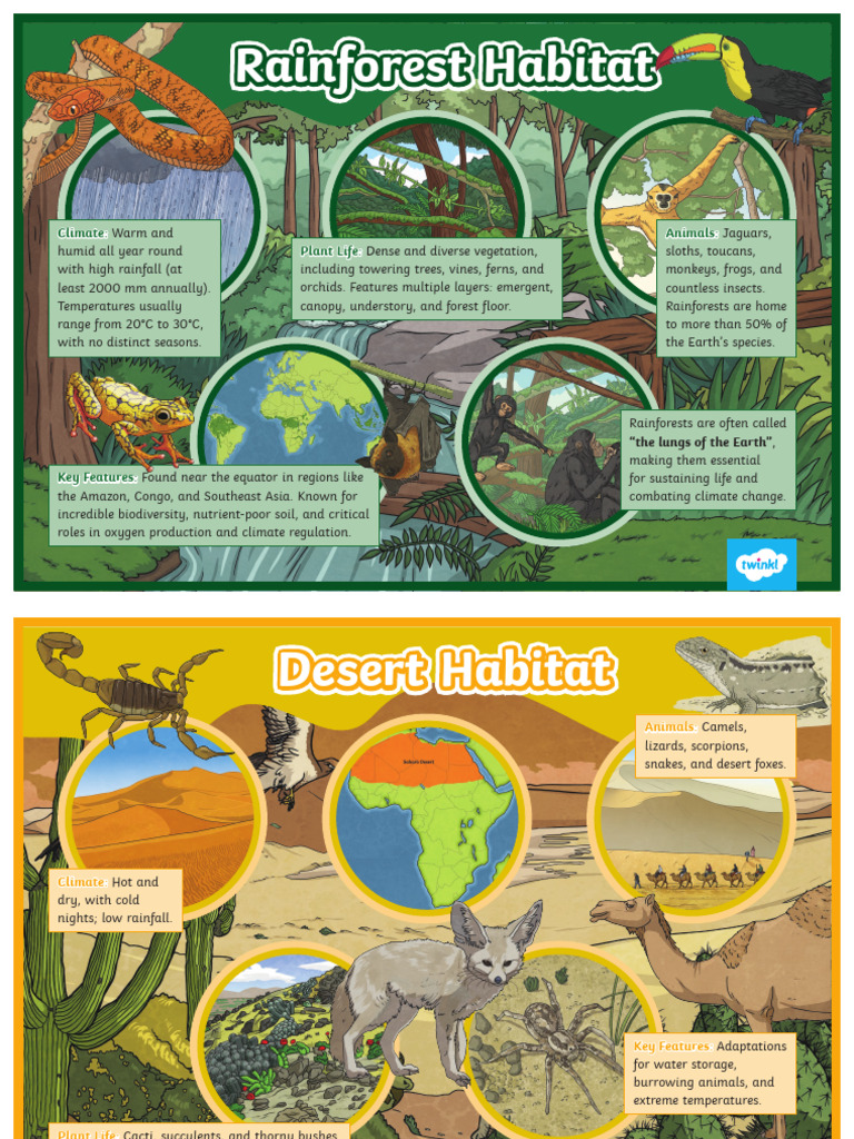 Overview of Global Habitat Types | PDF | Rainforest | Habitat