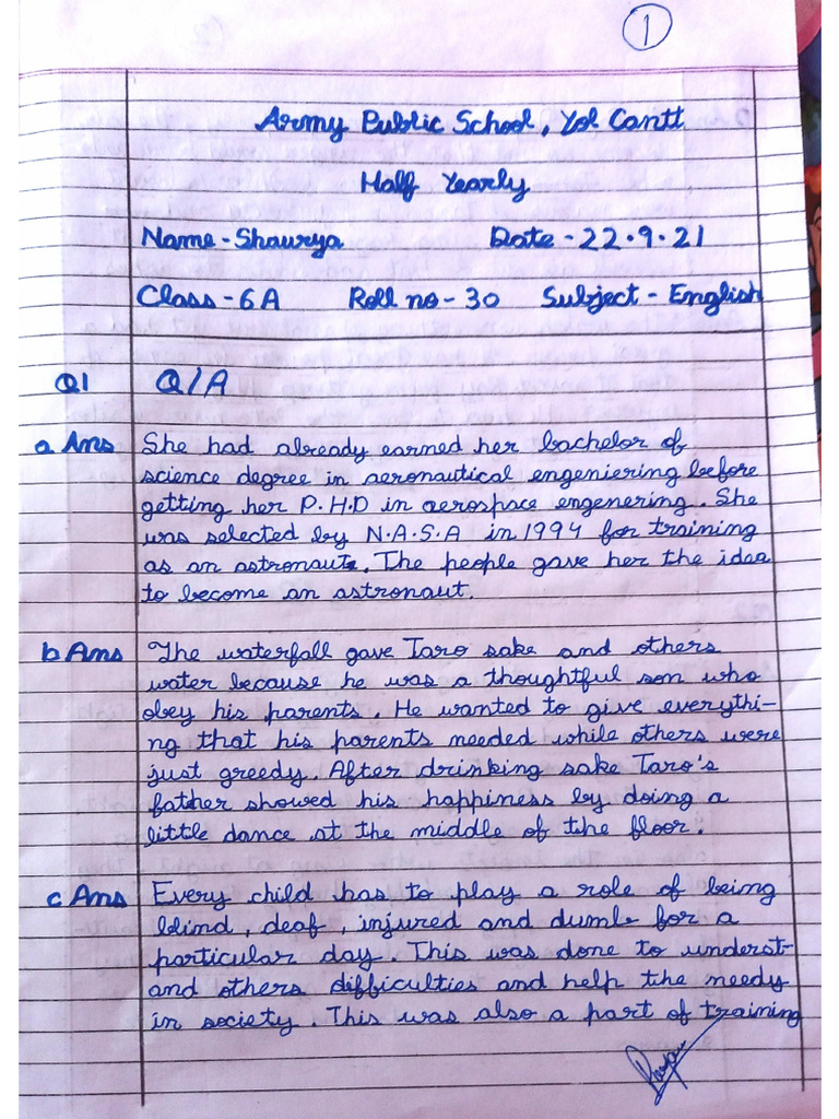 Questions Sheet For Class 6 | PDF