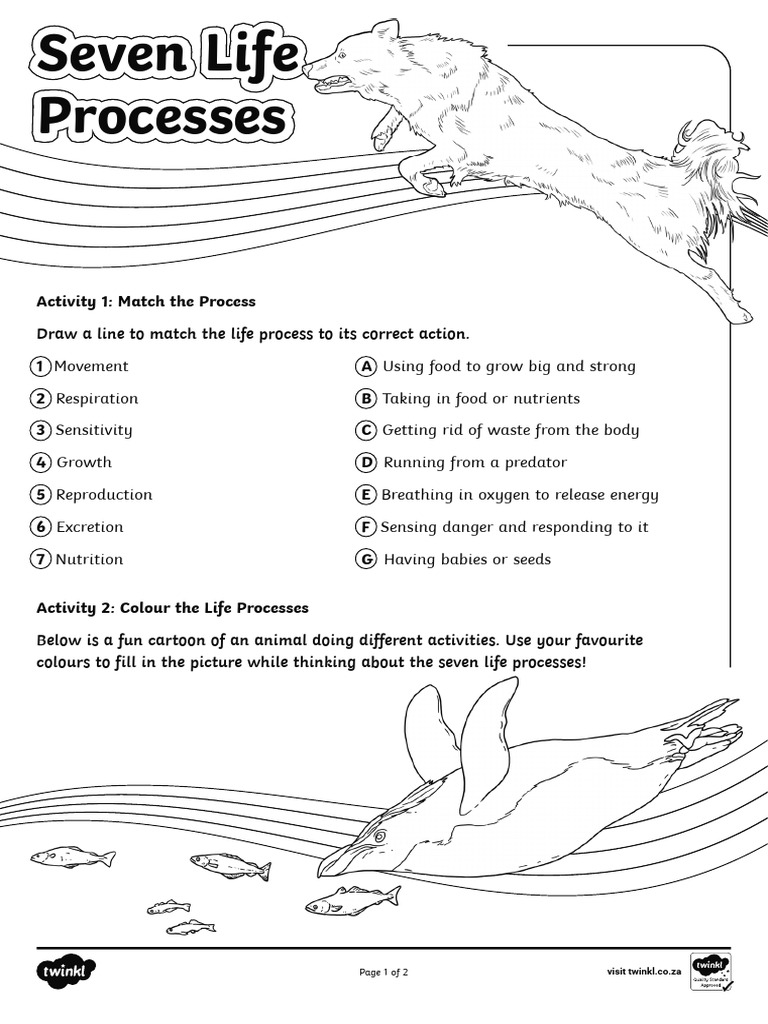 Za NST 1727937643 Intermediate Phase Life Processes Activity Sheet ...
