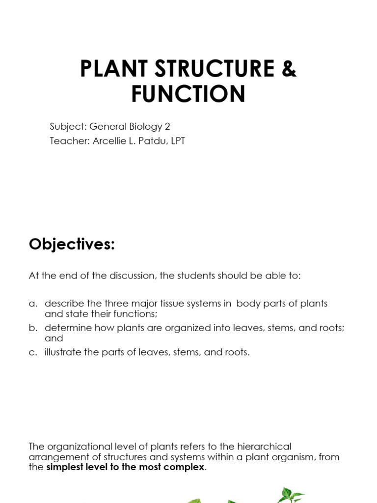 Plant Animal Structure Function PPT Genbiology2 | PDF | Menstrual Cycle | Leaf