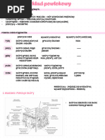 Klasa 7, Dział 1 - Organizm Człowieka. Skóra - Powłoka Organizmu - WYPEŁNIONY | PDF