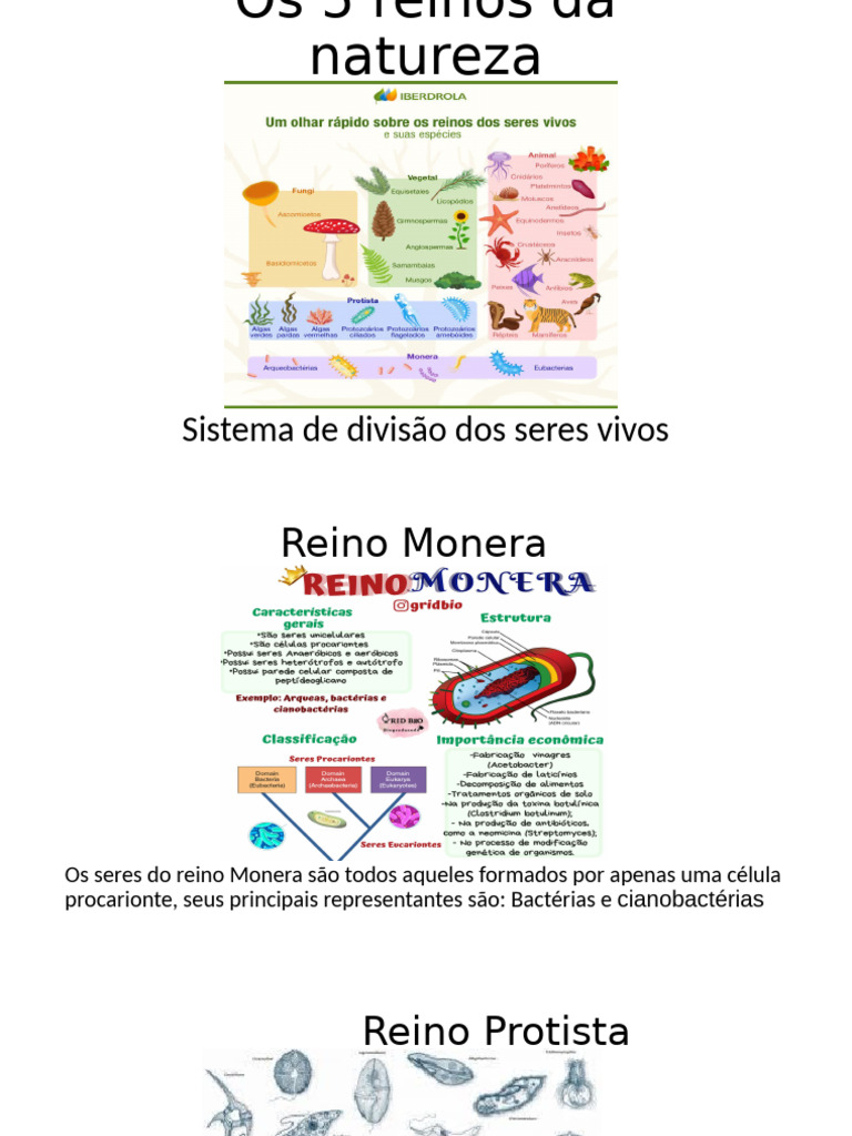 Os 5 Reinos Da Natureza | PDF