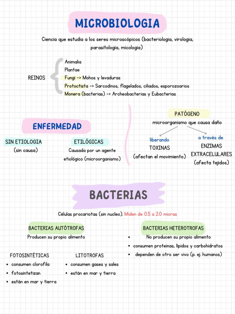 Guia Micro 1 | PDF | Virus | Las bacterias