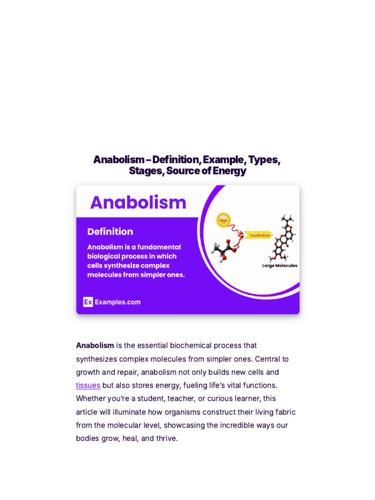 Anabolism - Definition, Example, Types, Stages, Source of Energy | PDF | Metabolism | Biosynthesis