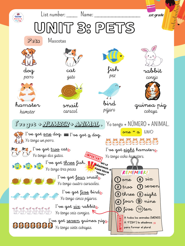 Animales y mascotas para primer grado | PDF | Arco iris | Zoología