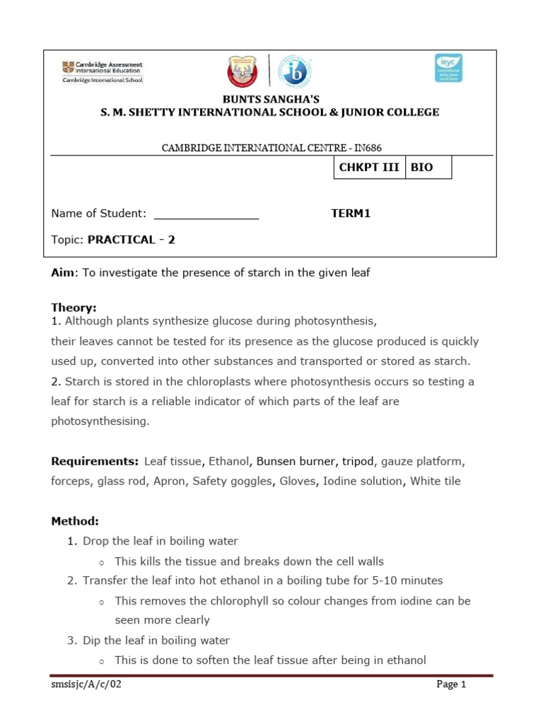 CHKPT 3 Practical 2 | PDF