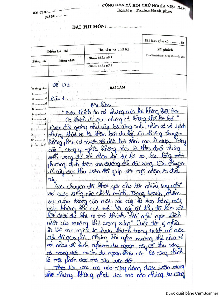 Bài văn tham khảo HSG | PDF